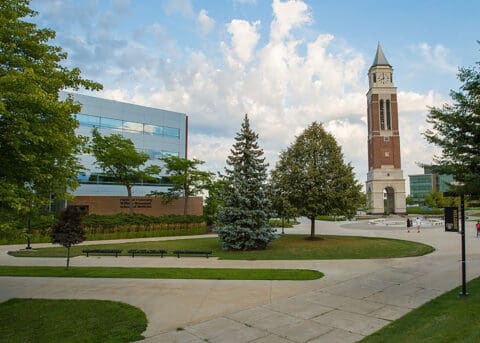 Michigan Title IV-E Child Welfare Fellowship